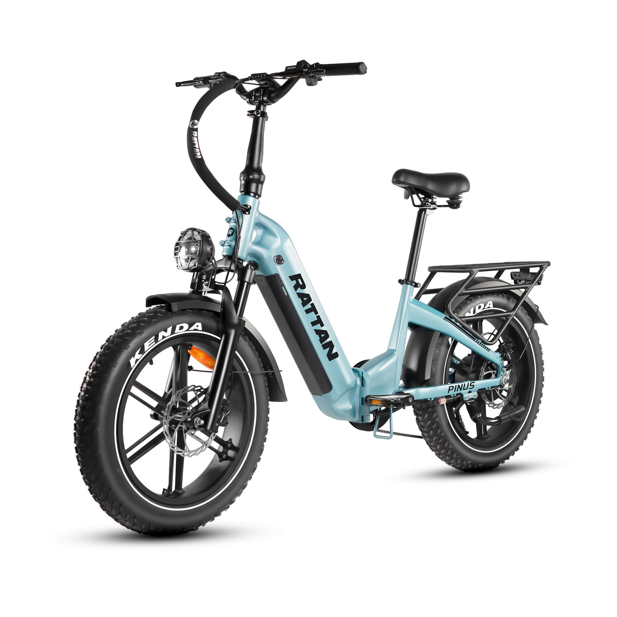 Rattan Pinus 750W 48V Step Through Fat Tire Electric Bike - Zoom ...