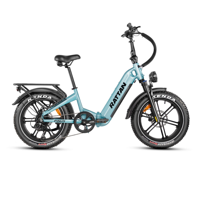 Rattan Pinus 750W 48V Step Through Fat Tire Electric Bike - Zoom ...