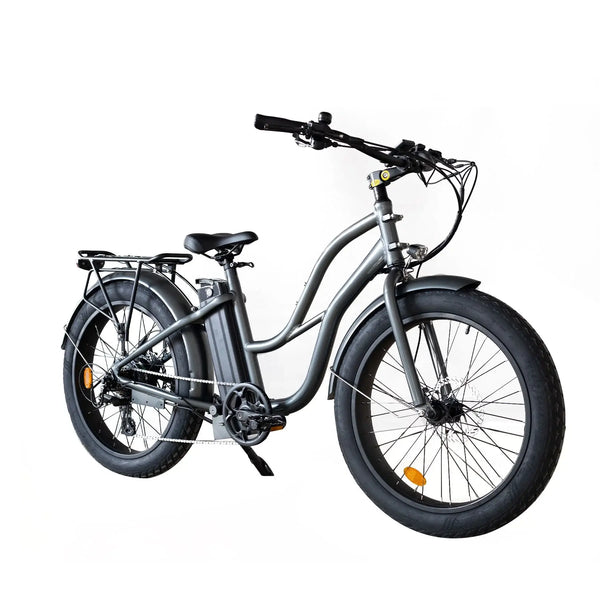 Coastal Cruiser Beach Cruiser 750W 52V 24x3 Step-Thru Electric Bike ...