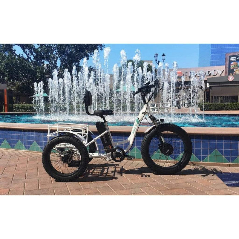 Emojo Caddy Pro 500W 48V Fat Tire Electric Tricycle - Zoom Electric Bikes