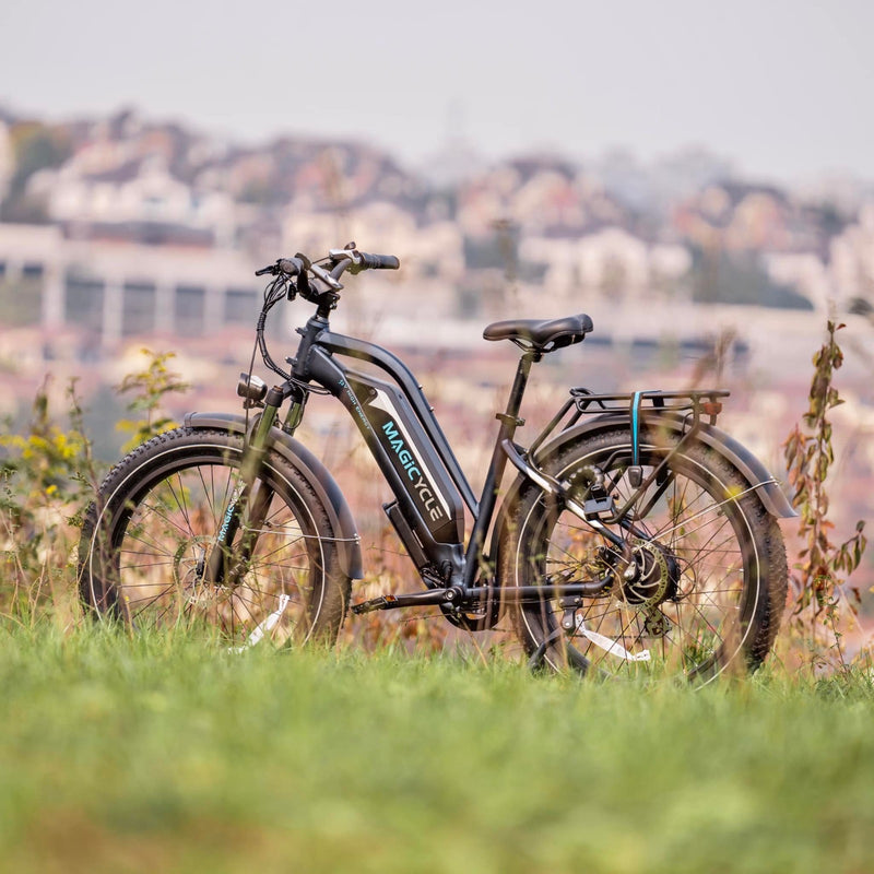 Magicycle 750W 52V 20Ah Cruiser Pro Step-Over Mountain Electric Bike ...
