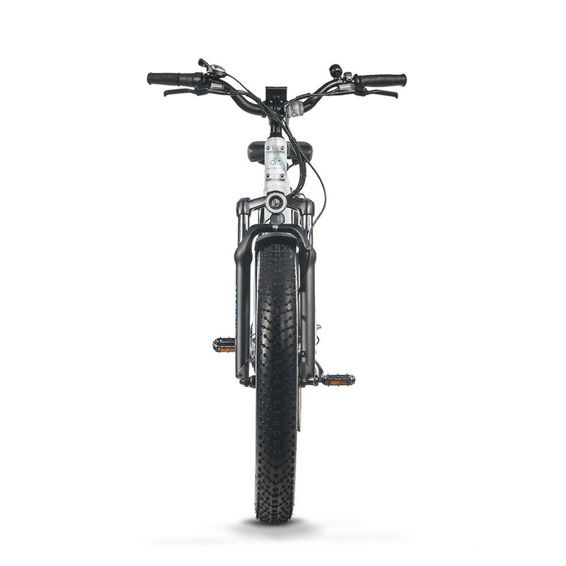 Magicycle 750W 52V 20Ah Cruiser Pro Step-Over Mountain Electric Bike ...