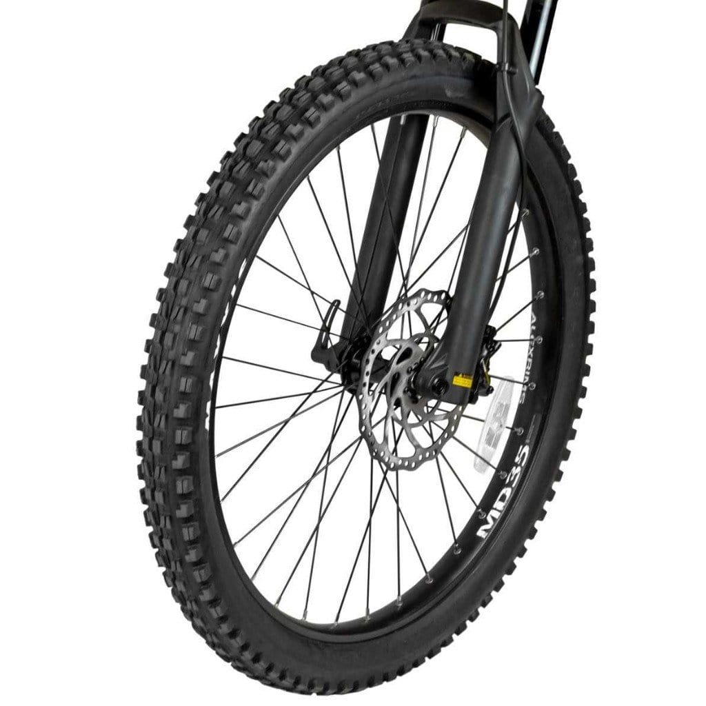 RAMBO The Rampage 1000W 48V Full Suspension Cruiser Electric Bike ...