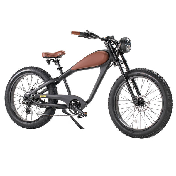 Revi Bikes - Zoom Electric Bikes